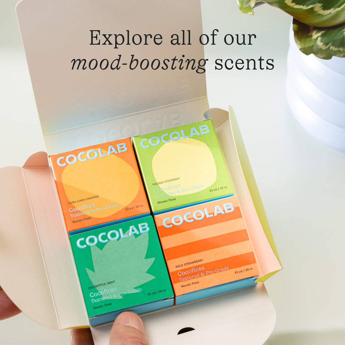 Delightful Mint Dental Floss – COCOLAB